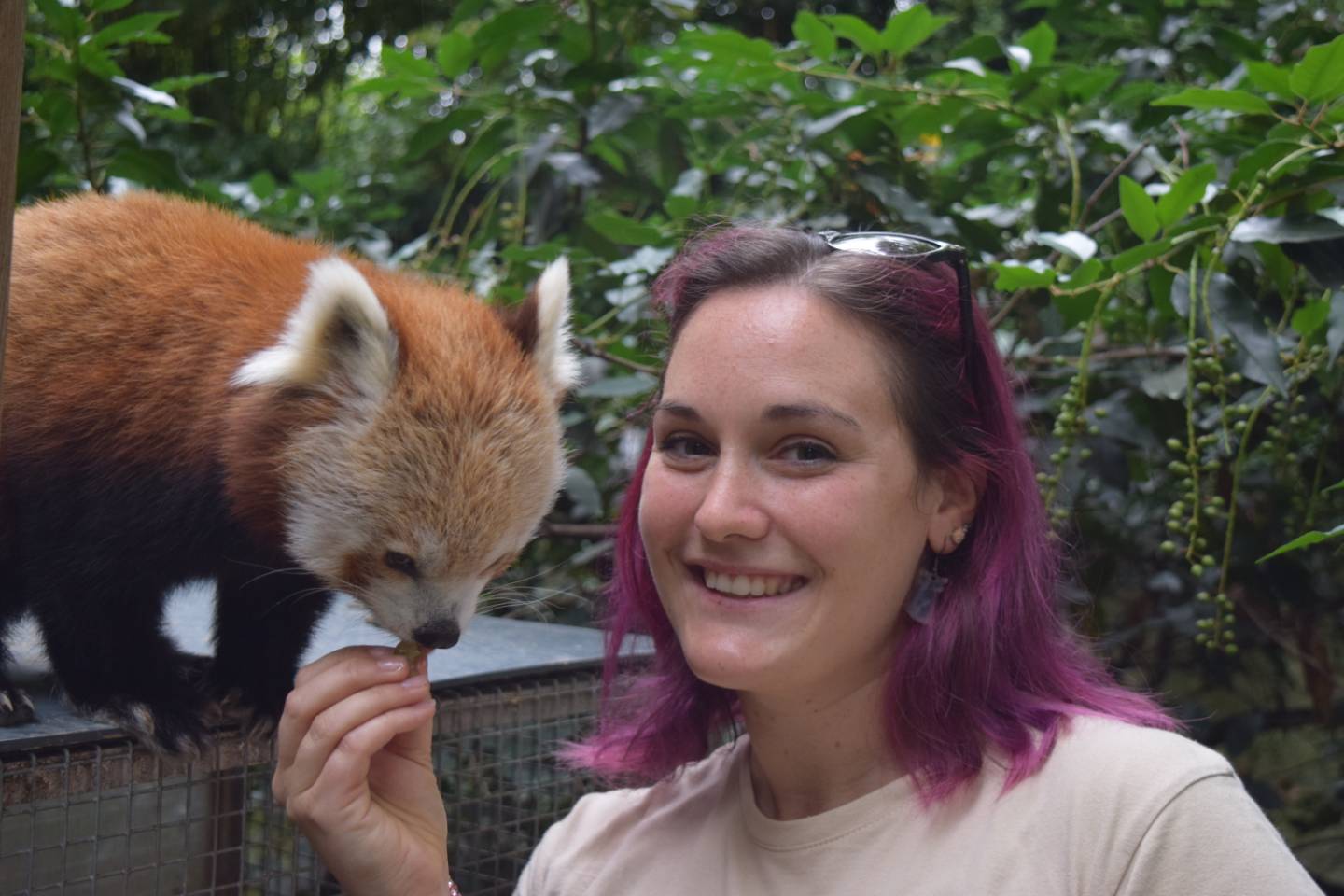 Une année au Zoo - L'enfant @ l'hôpital